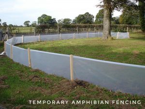 Amphibian Fencing | Newt Fencing | Temporary & Permanent