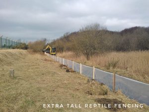 Reptile Fencing For Snakes, Lizards And More | Contract Ecology