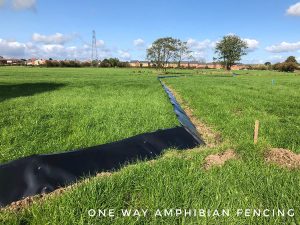 Amphibian Fencing | Newt Fencing | Temporary & Permanent