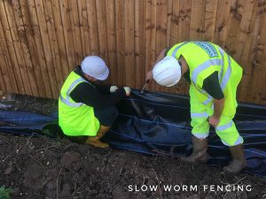 Reptile Fencing For Snakes, Lizards And More | Contract Ecology