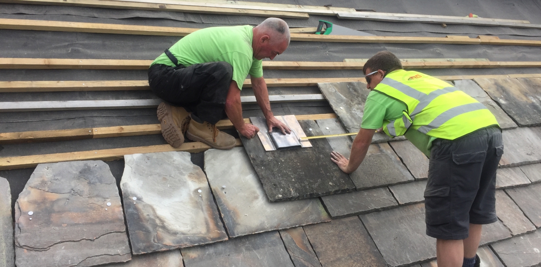 Bat Mitigation Cases | Contract Ecology Ltd | England and Wales