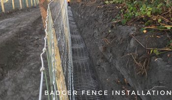 Badger Mitigation | Badger Fencing & Gates | Contract Ecology