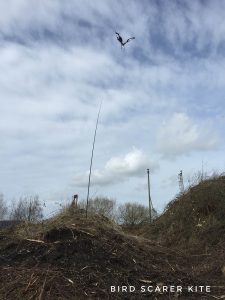 Bird Mitigation | Bird Control Solutions | Contract Ecology