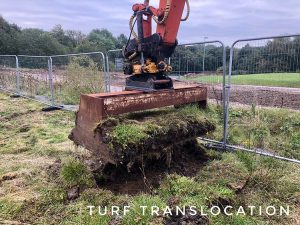 Turf Translocation - Contract Ecology